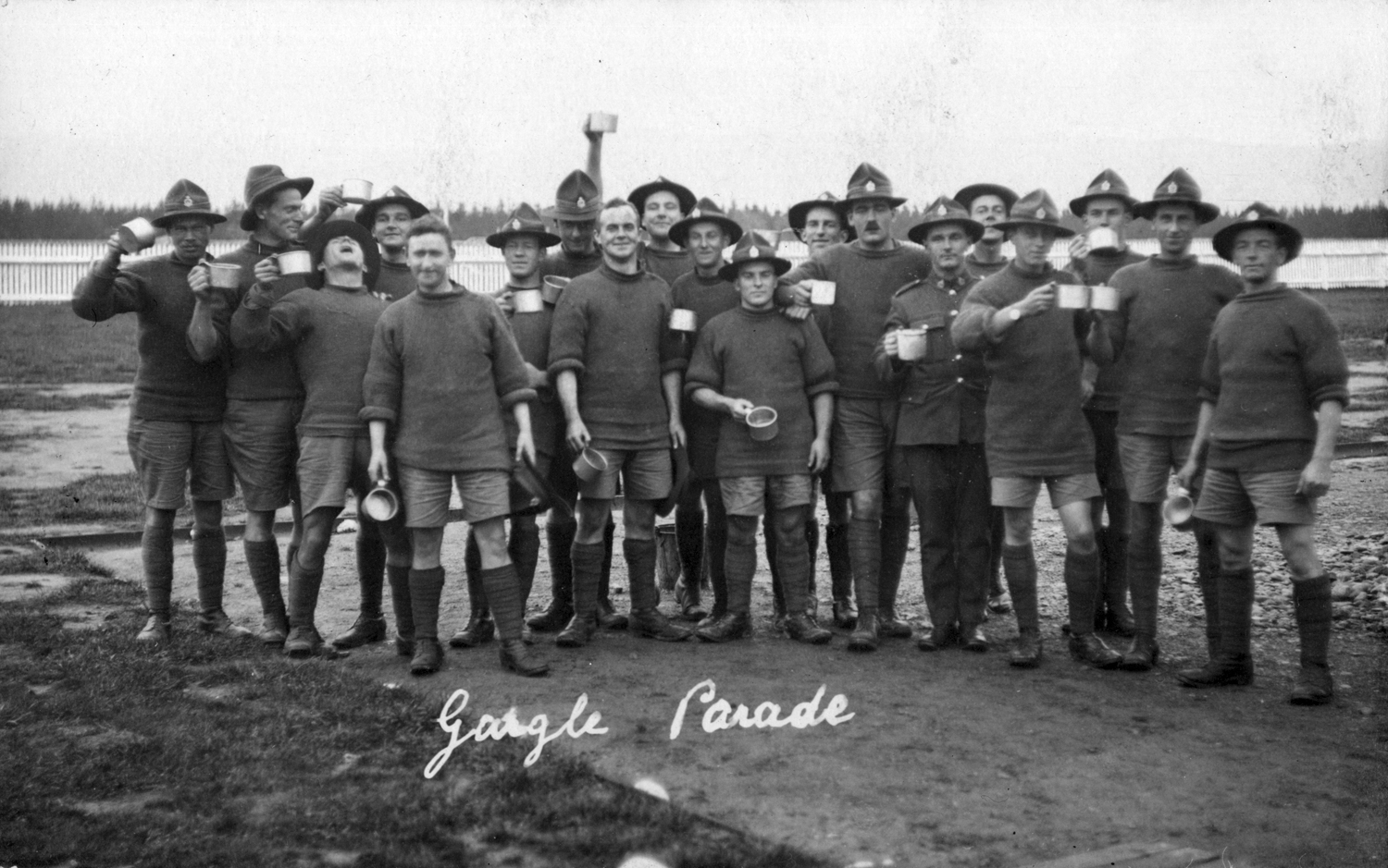 Healthy soldiers - WW100 - Wairarapa's First World War Centenary